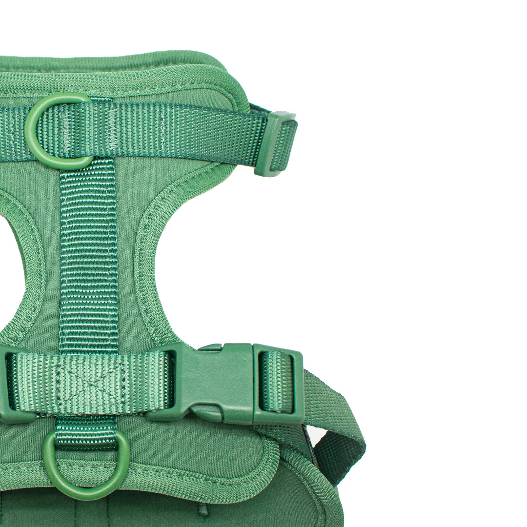 Arnés Comfort™ – RealDogs