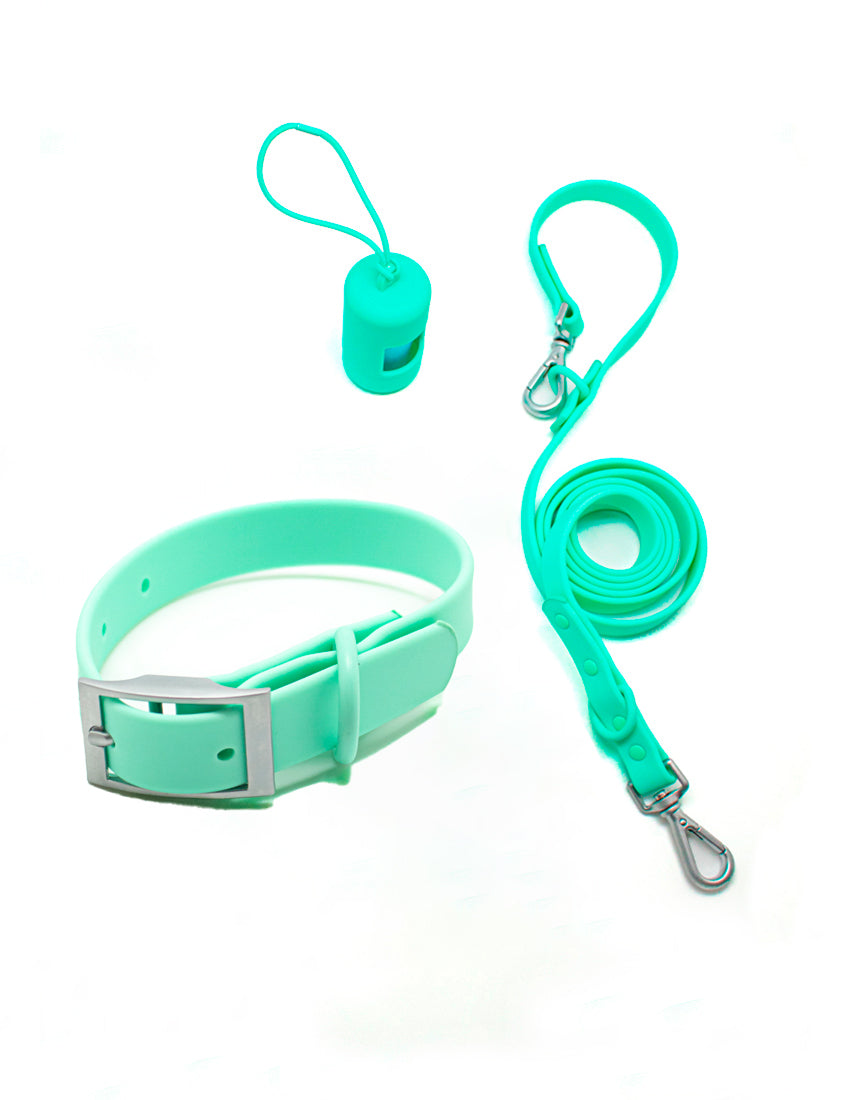 Tiffany Blue Collar Kit – RealDogs